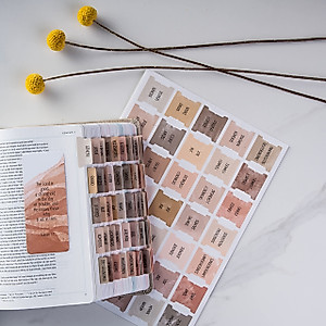 DiverseBee Spanish Bible Tabs (Large Print, Easy to Read), Bible Journaling Book Tabs, Christian Gift, 66 Bible Tabs Old and New Testament, Includes Catholic Books and 9 Blank Tabs (Paz)