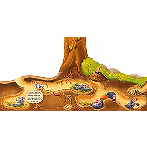 Discovering the Secret World of Nature Underground (Happy Fox Books) Board Book Takes Kids Ages 3-6 Deep into the Ground with Every Turn of the Page, plus Fun Facts and Vocabulary Words (Peek Inside)