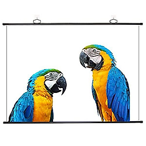 FMOGE Projector Screen Portable Projector Screen 16:9 HD Premium Anti-Crease Foldable Movies Screen Easy Installation HD Screen (Color : White, Size : 100inch-1)