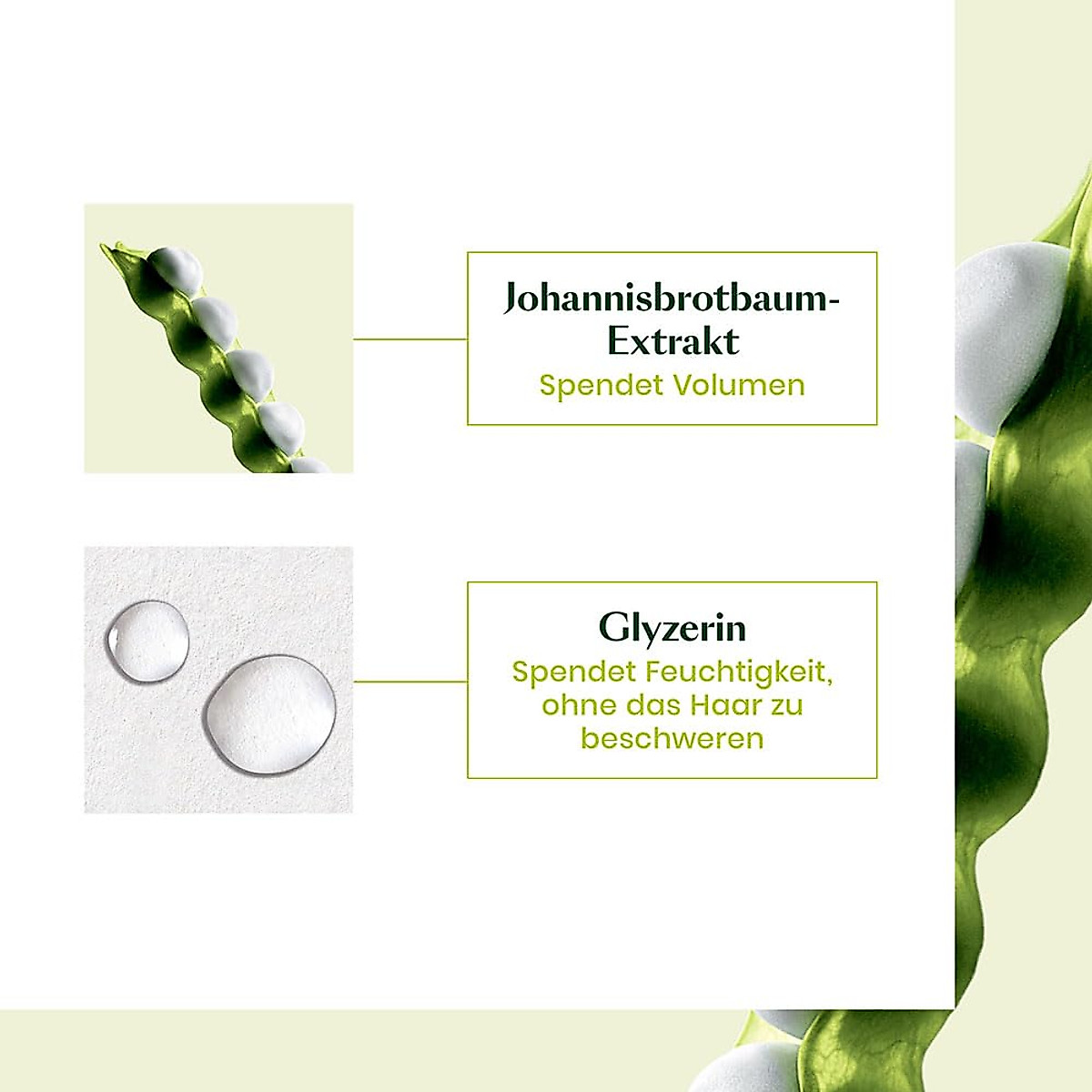 Rene Furterer VOLUMEA Volumizing Shampoo, Fine Limp Hair, Thickening, Volume Enhancing, 6.7 Fl Oz (Pack of 1)