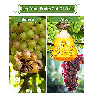 Wasp Trap Outdoor Hanging, Bee Traps Catcher, Effective Outdoor Wasp Killer Insect Catcher, New Upgrade Non-Toxic Reusable Hornet Yellow Jacket Trap (Orange, 2 Pack)