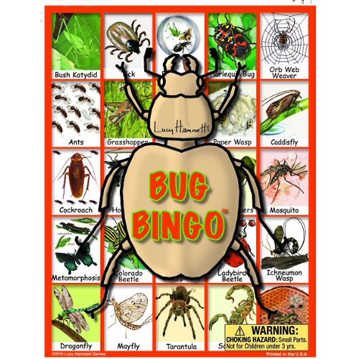 Lucy Hammett Games Bug Bingo