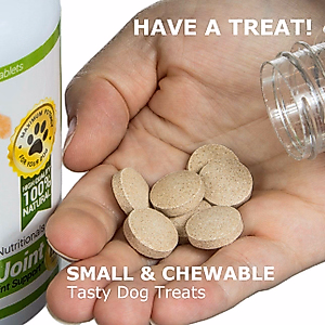 Amazing Cranberry Chews and Amazing Probiotic Joint for Dogs