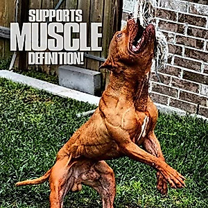 Muscle Bully Muscle Builder for Dogs - Combines Clinically Proven Muscle Building Ingredients That Support Muscle Growth, Size, Definition and Endurance. Ultimate Canine Muscle Building Supplement.