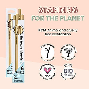 The Future is Bamboo – Bamboo Straws, Reusable Straws, Wooden Straws for Drinks, Pack of 6