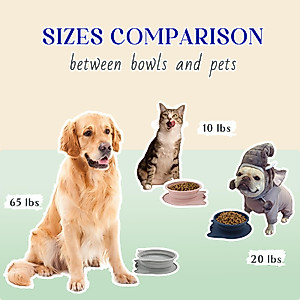 RUNROLE 2-in-1 Collapsible Silicone Dog Travel Bowls Detachable Pet Food and Water Bowl Set Portable Dog Bowls Pop Up Cat Feeding Watering Dishes，20OZ+27OZ (Slate Blue)
