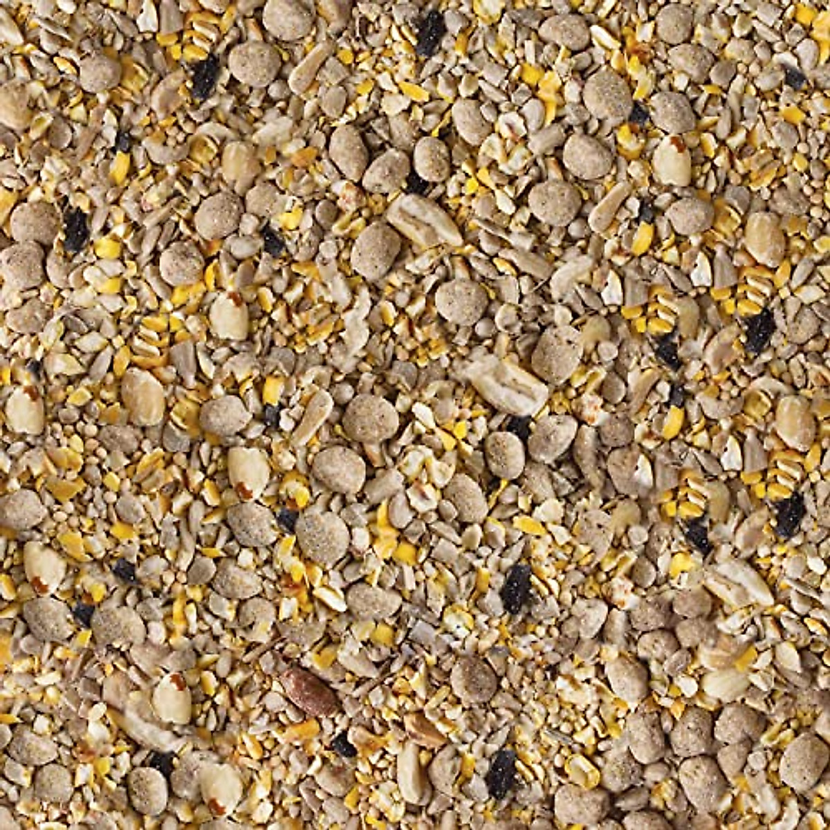 Kaytee Seed & Suet No Mess Blend Blueberry Flavor 10 Pounds