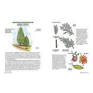 The Tree Book for Kids and Their Grown-Ups