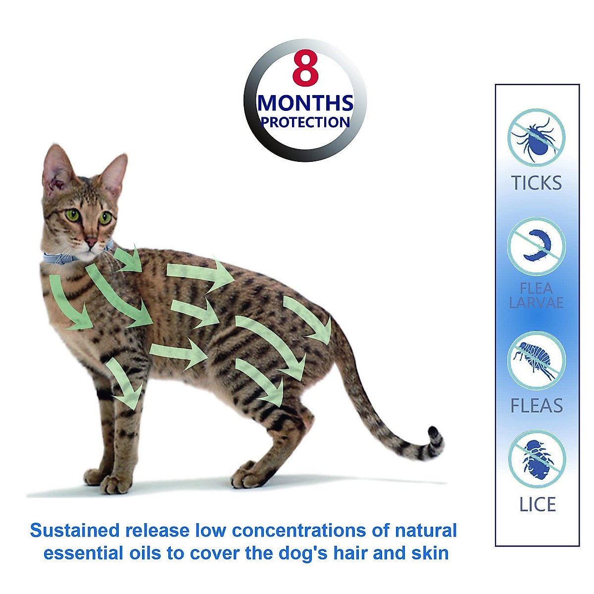 Natural Ingredients Flea Collar for Cats, Safe and Effective Flea and Tick Repellent, Waterproof, 8 Months Protection Each, Free Comb and Tick Scoop, One Size Fits All, 13.8 inch, 4-Pack