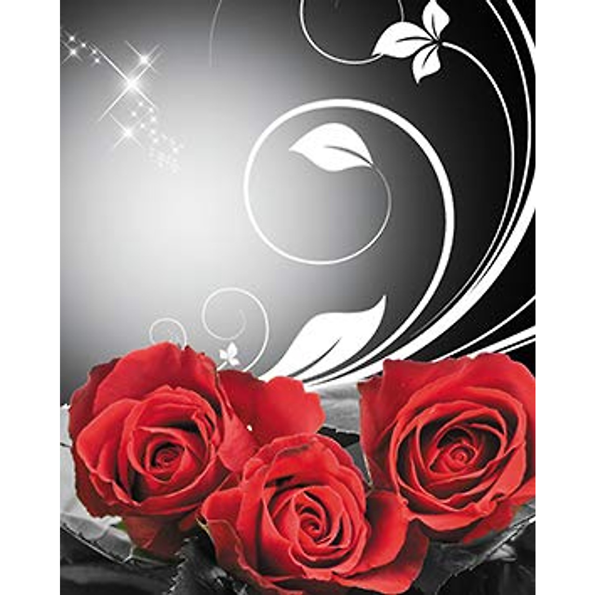 Unframed Modern Art Black and White Wall Romantic Red Rose Flower Poster Art Painting Set of 3 (“ 8x10”Canvas Picture) Girl Bedroom Spa Bathroom Art Prints Living Bedroom Corridor Kitchen Home Decor