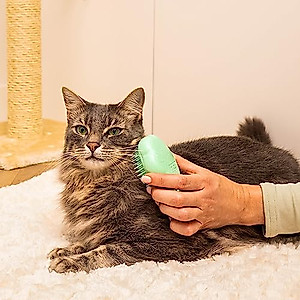 Tangle Teezer Cat Teezer | Small, De-Shedding Cat Hair Brush | Gentle, Soothing Brush for Cats | Green