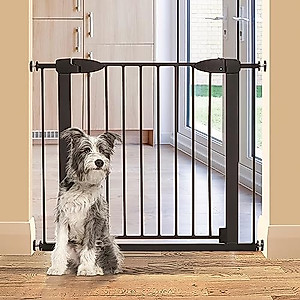 Dreambaby Boston Magnetic Auto Close Security Gate (29.5-38 inches, Black)