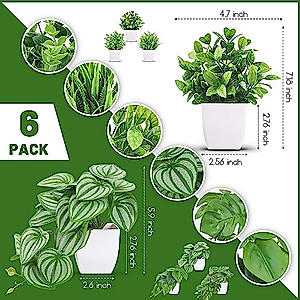 Der Rose 6 Packs Fake Plants Small Artificial Plants for Home Office Desk Bathroom Aesthetic Farmhouse Room Decor Indoor