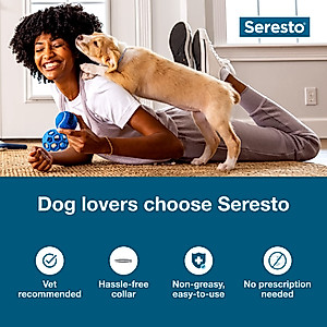 Bundle of Seresto Large Dog Collar for Dogs Over 18 lbs. + Pet Protect Probiotic Dog Supplement Oral Gel 32g