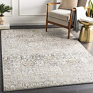 Artistic Weavers Aune Updated Traditional Area Rug 7'10" x 10'2",Grey