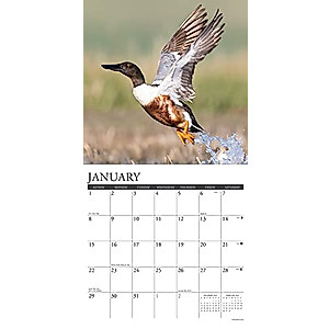 Waterfowl 2023 Wall Calendar
