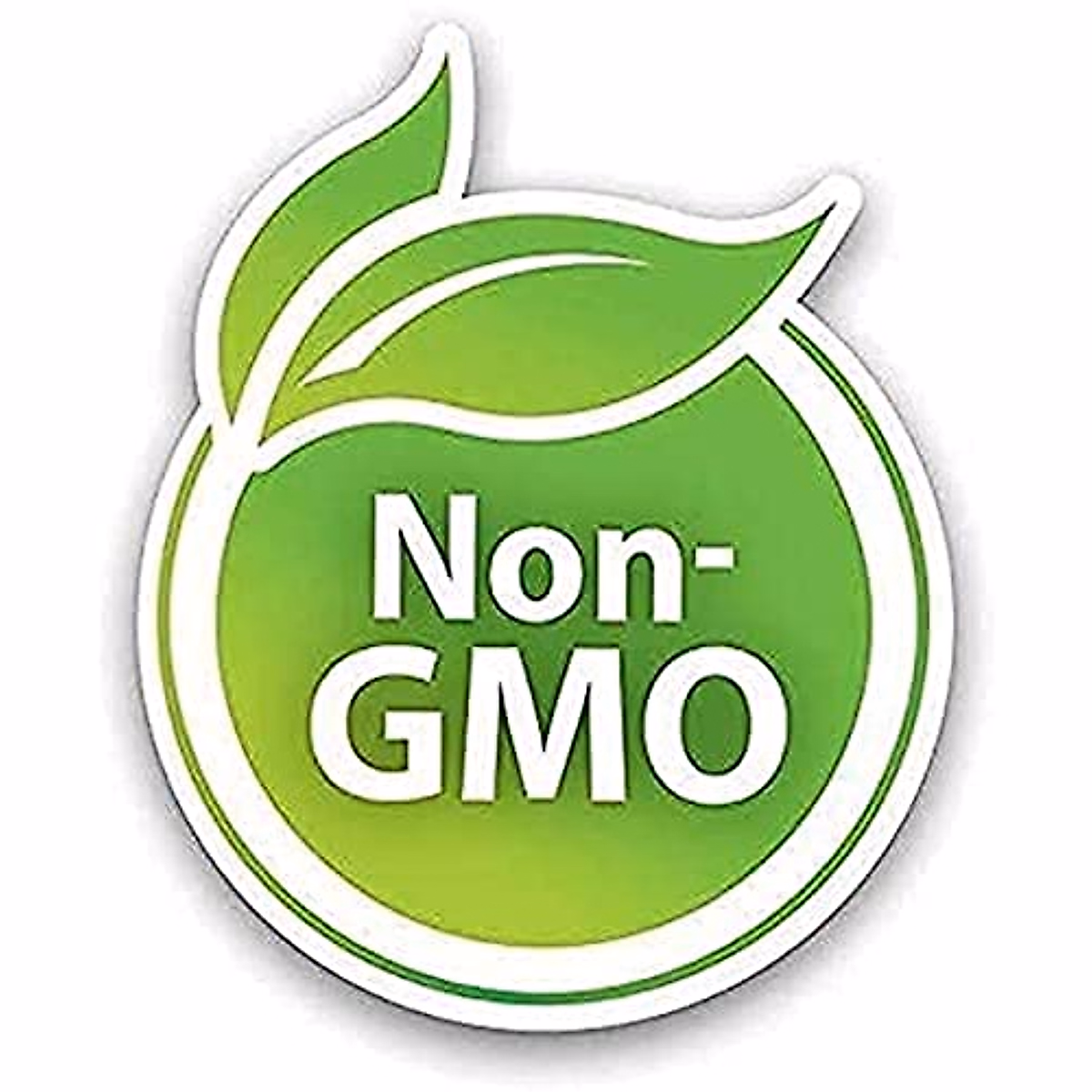 Set of 25 Premium Vegetable & Herb Seeds - 25 Deluxe Variety Premium Vegetable & Herb Garden 100% Non-GMO Heirloom