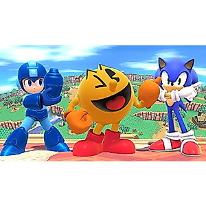 Super Smash Bros. - Nintendo 3DS (Renewed)