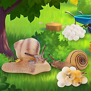 Snail Life Cycle of Snail Toys Life Cycle Figures Set Realistic Preschool Animals Figurines Eduactional Project Diorama Model Toy for Kids