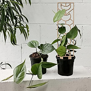 WellSign Garden Plant Trellis for Climbing Plants Indoor Pot, 16.3inch Small Wooden Trellis for Potted Plants with Moisture-Proof Layer for Vine Flower Support, Moon and Geometric Shape Design 2Pack