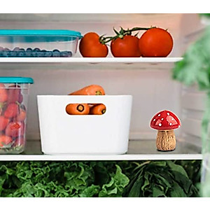 2 Mushroom Baking Soda Holder For Refrigerator Baking-Soda Fridge Odor Absorber Smell Remover Cute Fridge Deodorizer Refrigerator Odor Eliminator(No Soda)