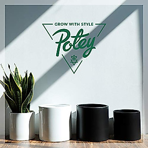 8 Inch Glazed Ceramic Indoor Planter Pot - Modern Large Cylinder Container with Watering Drainage Rubber Plug - Fits Succulents, Flowers or Bonsai