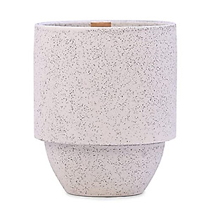 Paddywax National Parks Artisan Hand-Poured Scented Candle, 11-Ounce, Glacier - White Pine + Hemlock