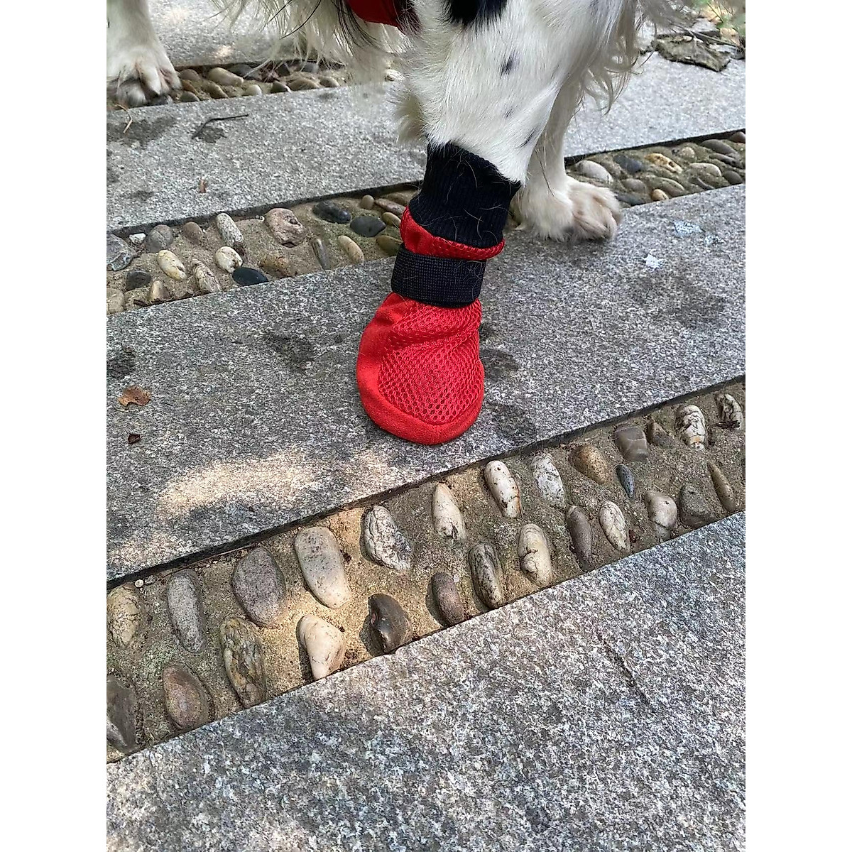 LONSUNEER Dog Boots Breathable and Protect Paws Soft Nonslip Soles Color Red Size X-Large - Inner Sole Width 3.15 Inch