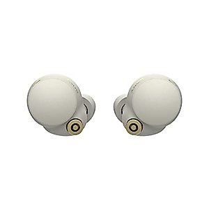 Sony WF-1000XM4 Industry Leading Noise Canceling Truly Wireless Earbud Headphones with Alexa Built-in, Silver
