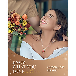 CDE Love Heart Pendant Necklaces for Women Silver Tone Rose Gold Tone Birthstone Christmas Jewelry Gifts for Women Birthday/Anniversary Day/Valentine's Day (Crystals, White Gold Plated-01 & 07-January & July Ruby Red Siam Garnet)