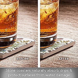 CounterArt Spring Meadow Bunnies Multi-Image Absorbent Stone Tumbled Tile Coaster 4 Pack with Protective Cork Backing Manufactured in The USA