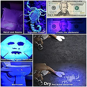 UV Flashlight Black Light, 100 LED Blacklight Flashlite Pet Urine Detector for Dry Dog/Cat Urine Stains Detection, Bed Bug, Scorpions Finder with UV Sunglasses, Working with Pet Odor Eliminator