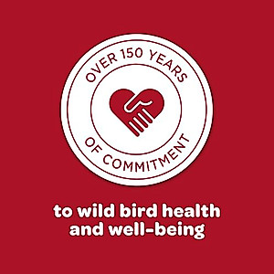 Kaytee Wild Bird Nut & Fruit Seed Treat Bell