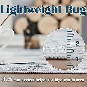 jinchan Area Rug 5x7 Washable Rug Kitchen Light Grey Floral Print Rug Farmhouse Indoor Accent Rug Boho Floor Cover Foldable Thin Rug Non Slip Soft Bath Mat for Bedroom Living Room Dining Room