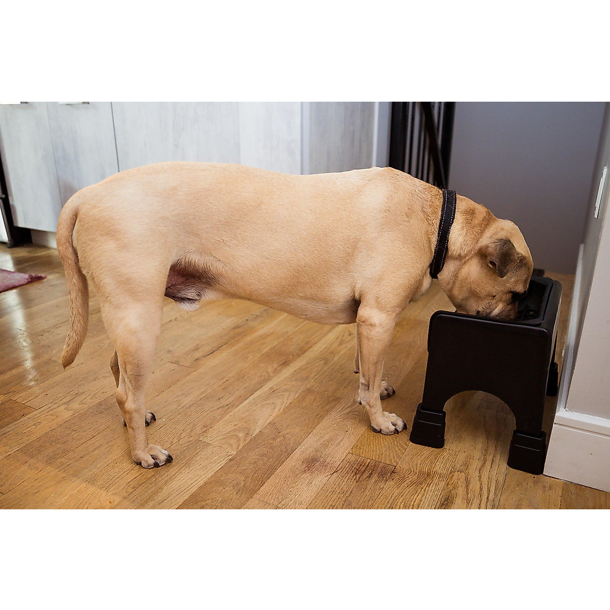 Fluff Through Elevated Dog Bowl for Large Dogs Food – Dog Feeding Station with Vet Approved & Non-Toxic Silicone Bowl Insert - Raised Dog Bowl for Large Dogs for Healthy Posture & Digestion (Gray)