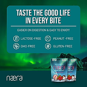 Næra Icelandic- Strawberry Skyr Crunch Popped Snack with Skyr (Authentic Icelandic Yogurt) and Fruit, Gluten Free, Crunchy Snacks for Adults and Kids- GMO Free and Preservative Free (2 Pack, 1.76 Oz)