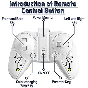 PWTAO Remote Control Chameleon Toy Realistic Animal Infrared RC Chameleon Fake Chameleon Toys Electric Toys Party Favors Party Supplies Halloween Pranks Joke for Kids Adults Gift