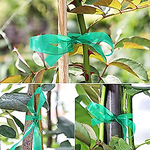 Unves 2 Pack Garden Tape Roll, 150 Ft Thick Reusable Green Plant Nursery Tape - 1/2" Wide Stretch Tie Tape Support for Indoor Outdoor Patio Plant, Tree, Branches, Climbing Flowers, Vegetables