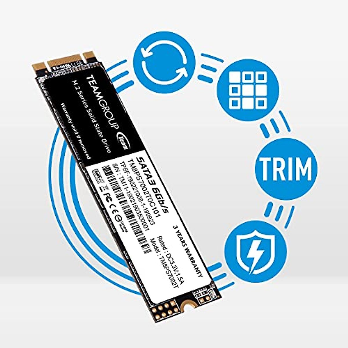 TEAMGROUP MS30 256GB with SLC Cache 3D NAND TLC M.2 2280 SATA III 6Gb/s Internal Solid State Drive SSD (Read/Write Speed up to 500/400 MB/s) Compatible with Laptop & PC Desktop TM8PS7256G0C101