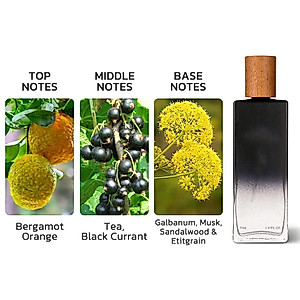 L'OUIS Feromone Sensfeel Natural Body Mist, Feromone Sensfeel Natural Body Mist, L'OUIS Feromone Mist, Pheromone Cologne for Men Attract Women, Pheromone Cologne for Men (1 Pcs Black Perfume)