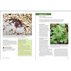 Midwest Medicinal Plants: Identify, Harvest, and Use 109 Wild Herbs for Health and Wellness (Medicinal Plants Series)