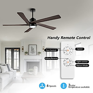 WINGBO 64 Inch DC Ceiling Fan with Lights and Remote Control, 5 Reversible Carved Wood Blades, 6-Speed Noiseless DC Motor, Modern Ceiling Fan in Matte Black Finish with Walnut Blades, ETL Listed