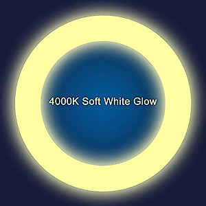 T9 LED Circline Light Bulb, 8 Inch 1600LM LED Circular Light, 13W Clear Cover 4000K Soft White Replacement for FC8T9 22-Watt Fluorescent Circular Bulb(FC8T9), Ballast Bypass Required