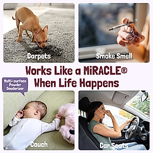 Sunny & Honey Carpet Miracle Powder - Dry Cleaner, Freshener & Deodorizer Powder for Kids & Pets (Wildberry Scent) - Carpet Cleaner & Upholstery Deodorizer