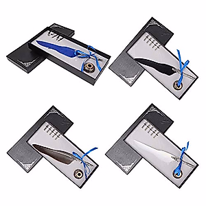 Hztyyier European Vintage Quill Pen Fountain Pen Sign Pen Calligraphy Writing Quill Dip Pen Set in Gift Storage Box(Black) School Supplies