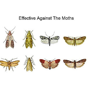 Clothes Moth Traps (6 Count) with Pheromones Lure, Powerful Moth Traps For House, wool clothes and carpet