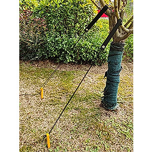 WANZHU Tree Stake Kits - 6pcs 11.4'' yellow Anchoring Stakes + 6 Straps 65 Feet Rope Enough for 2 Finish Trees Sapling Straight Healthy Growth Outdoor Garden Yard Plant Fix