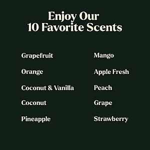 Fragrance Oil Set - Premium Grade 10 Pcs Scented Oils for Candle Making, Soap Scents, Aroma Beads, Bath Bombs, Perfume & Flavoring Oil for Lip Gloss - Organic Essential Oils with Fruity Scents (10ml)