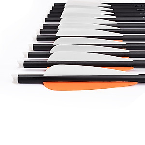 TY Archery Carbon Crossbow Bolts 16/18/20/22 inch Hunting Archery Arrows with 4" Vanes Moon Nocks and Removable Tips (Pack of 12)