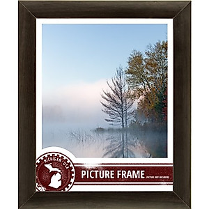 Craig Frames 232477781620N 1-Inch Wide Picture/Poster Frame in Smooth Wood Grain Finish, 16 by 20-Inch, Brazilian Walnut
